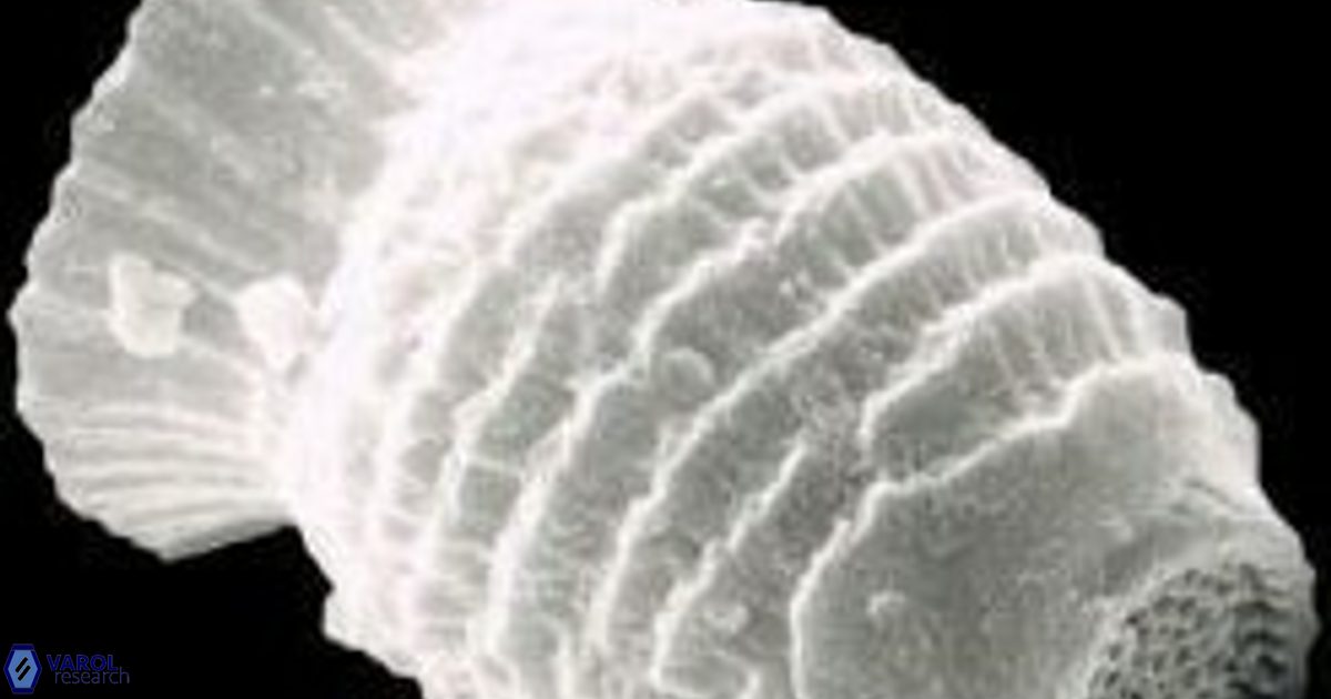 Varol Research | About